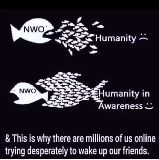 Ann, you’re so full of… MEMES! | Barnhardt